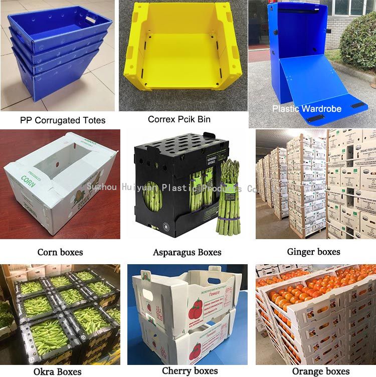 PP Packaging Box: Why It’s the Top Choice for Durable and Custom Packaging